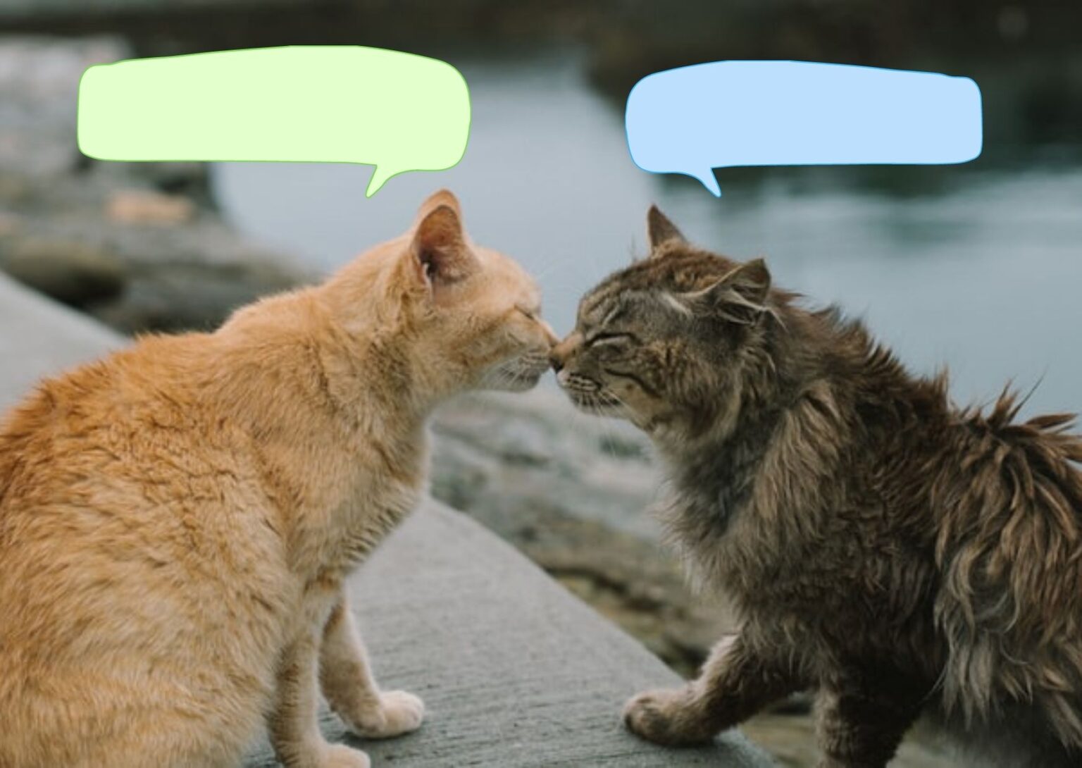 【コピペでOK!】HTML と CSS でレスポンシブ対応のテーブルデザイン（表）を作ってみよう！！ - FrankuLOG｜フリーランスのための羅針盤ブログ